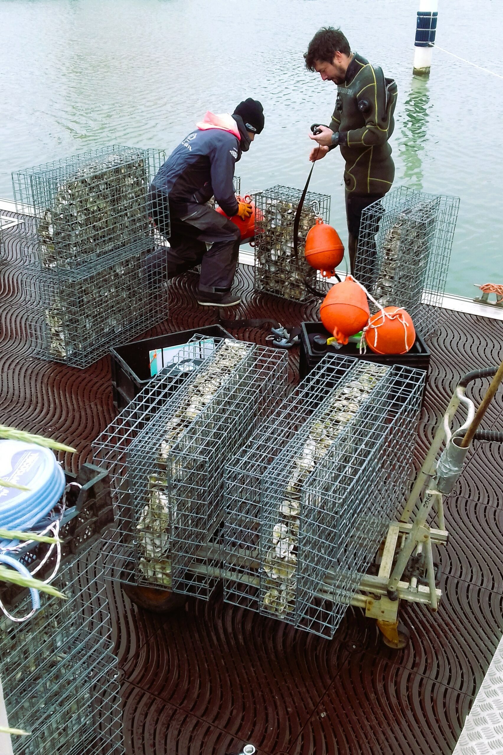Premier bilan écologique des "BIOHUT" - Port Carnon